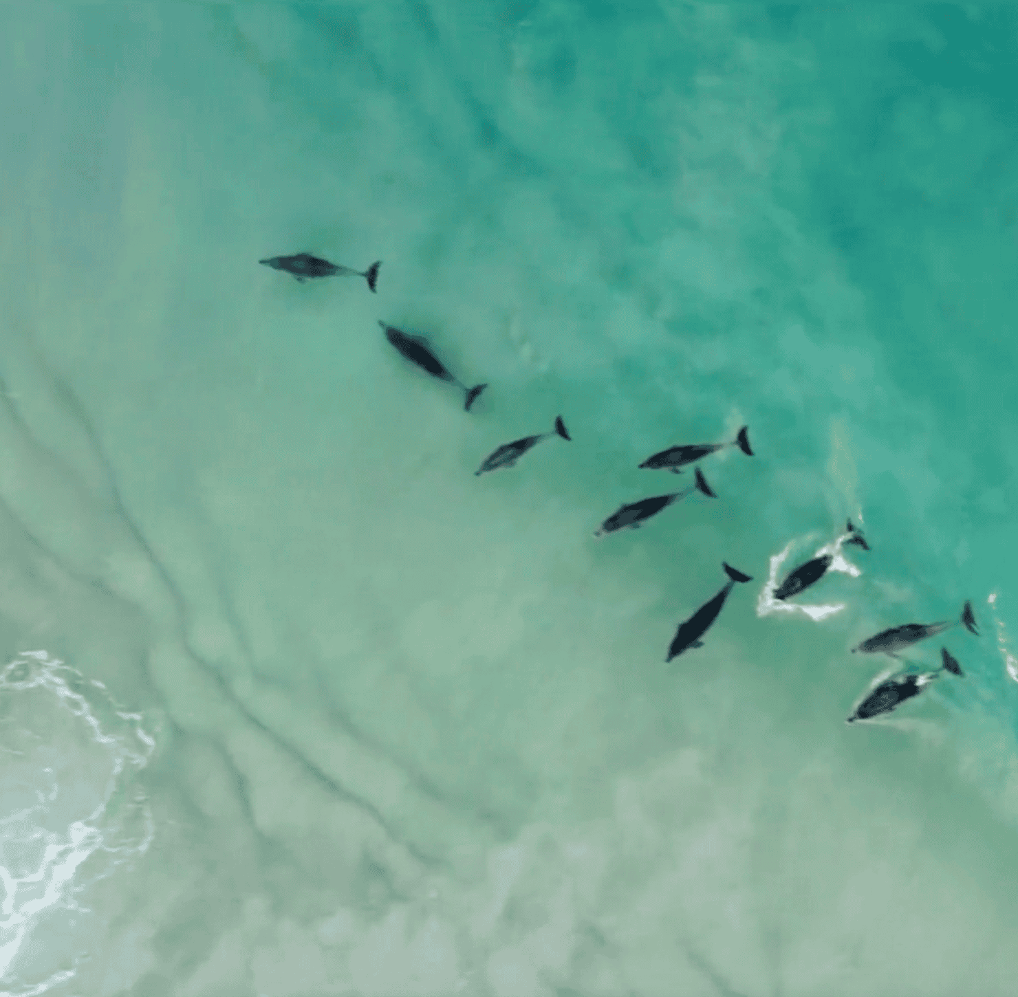 Blueys Beach NSW Location - See what this beautiful place offers